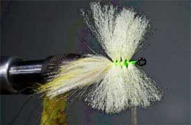 Tying the Tarpon Toad | MidCurrent