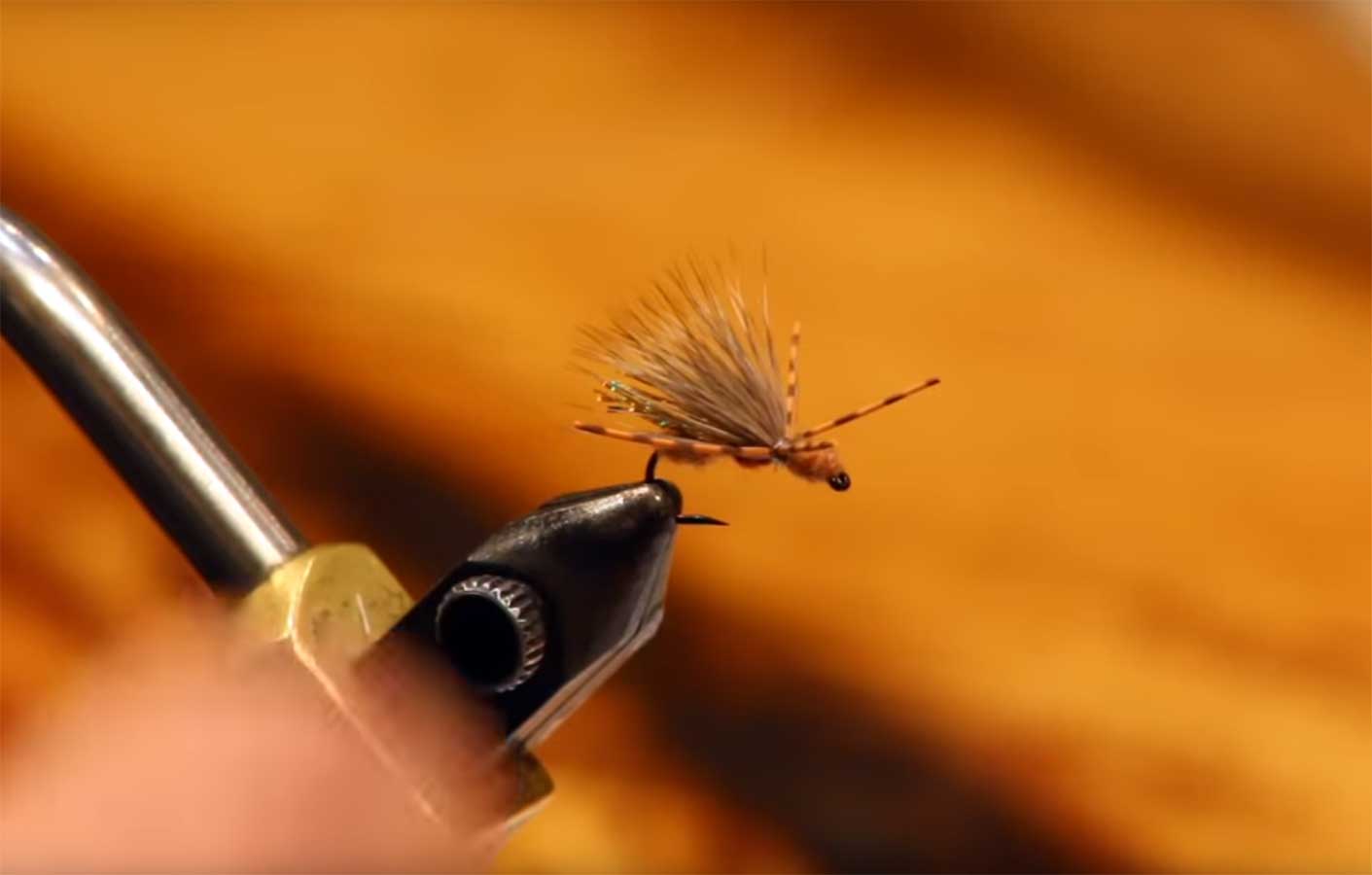 Video Hatch: “Tying The Ant Acid” | MidCurrent