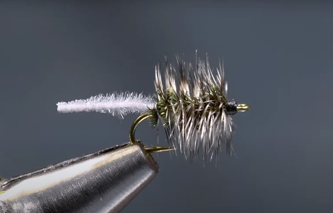 "The Gnatinator" | MidCurrent