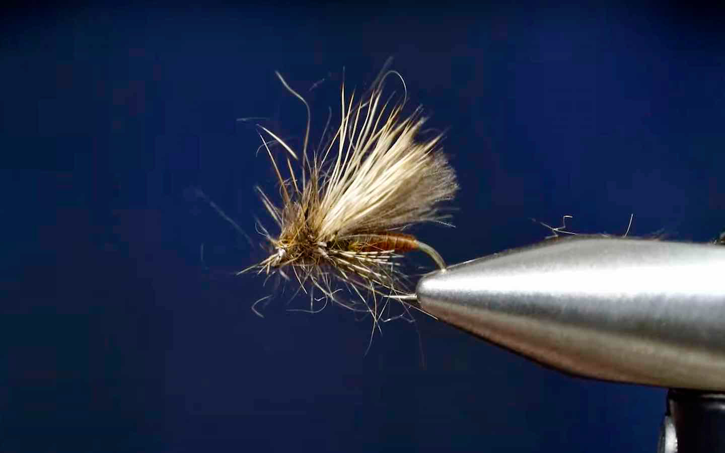 "Party On Top Caddis" | MidCurrent