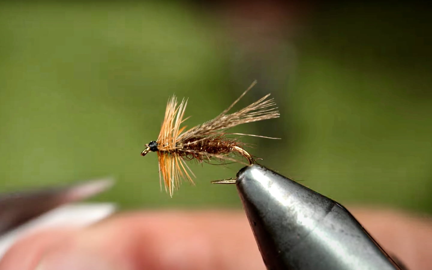Simple and Effective Caddis Pattern | MidCurrent