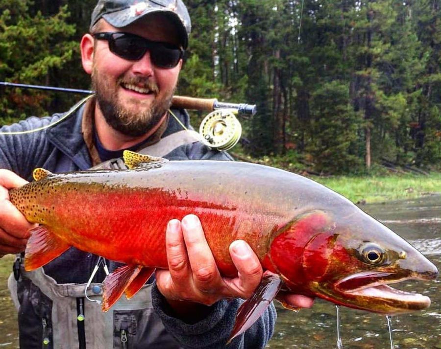 Last Stand: 3 Techniques to Help You Catch Trout Before Freeze Up | MidCurrent