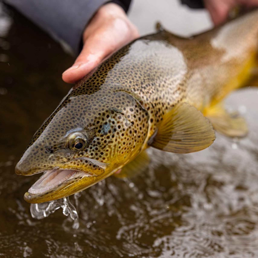 Hatch Magazine's Top 10 Stories of 2025 | MidCurrent