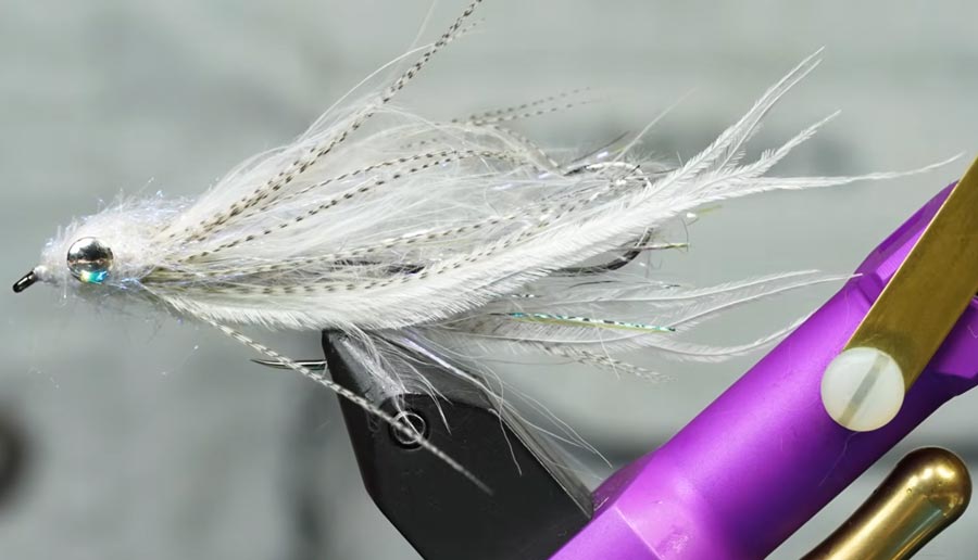 How to Tie Jorgensen's Dirty Bird Intruder | MidCurrent