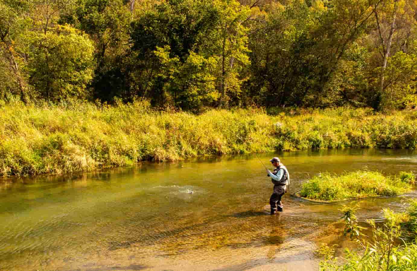 New Scientific Review Confirms Fishing's Mental Health Benefits—And Its ...