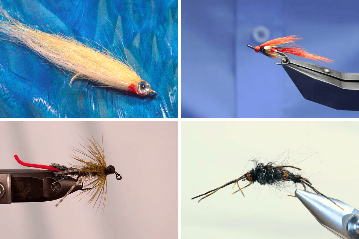 Tying Tuesday: Anchovies, Shrimp, Stones, and Carp Flies | MidCurrent